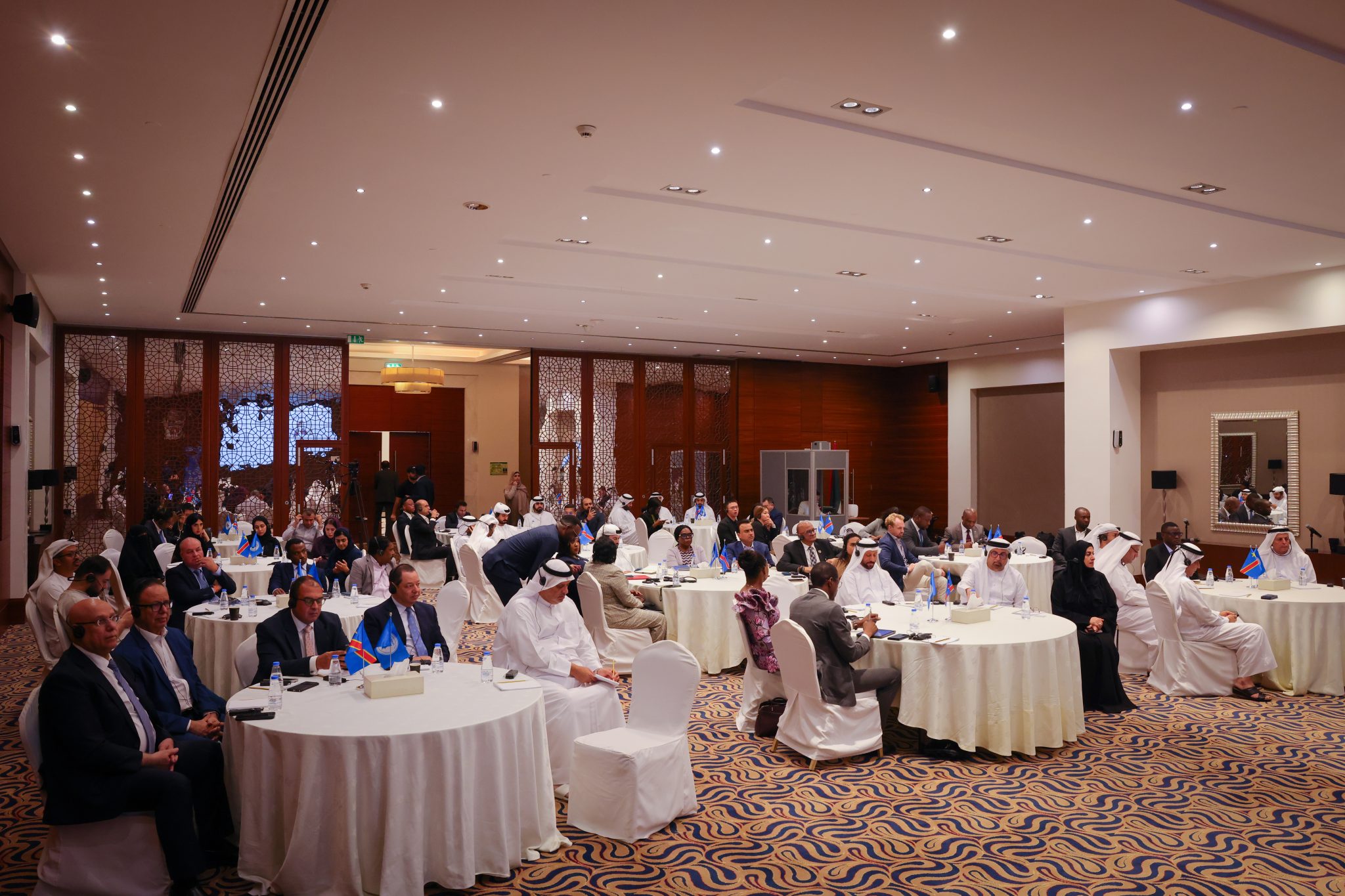 29ᵉ World Investment Conference : l’ANAPI valorise les atouts de la RDC ...